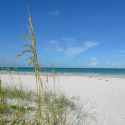 Turtle Beach - Siesta Key Chamber of Commerce - Siesta Key, FL